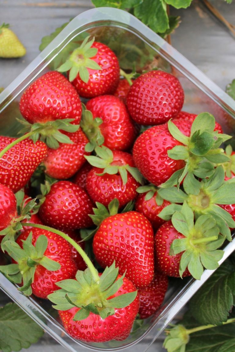 Is a Strawberry a Berry? A Science Teacher Explains - Family Favorite ...