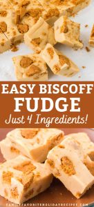 Easy Biscoff Fudge Recipe: Just 4 Ingredients! - Family Favorite ...