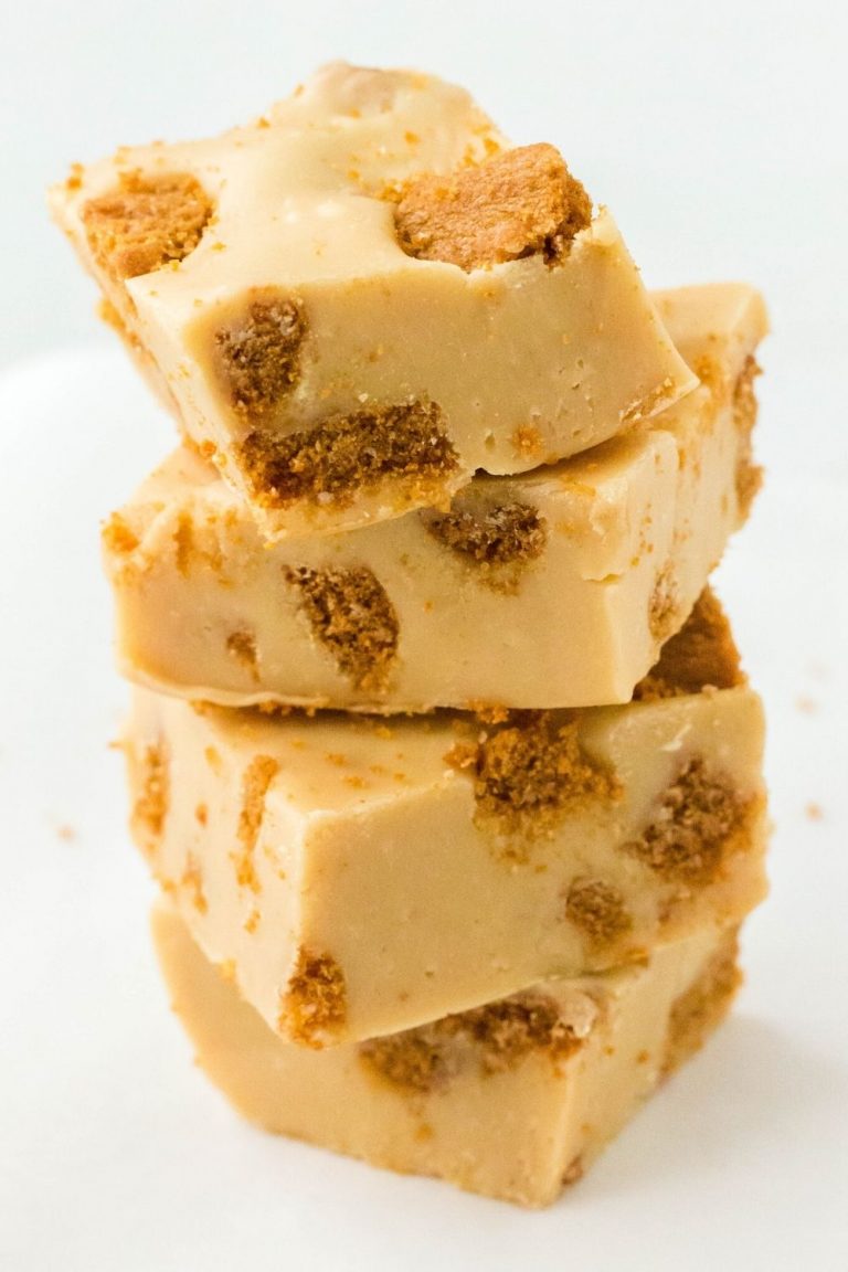 Easy Biscoff Fudge Recipe: Just 4 Ingredients! - Family Favorite ...