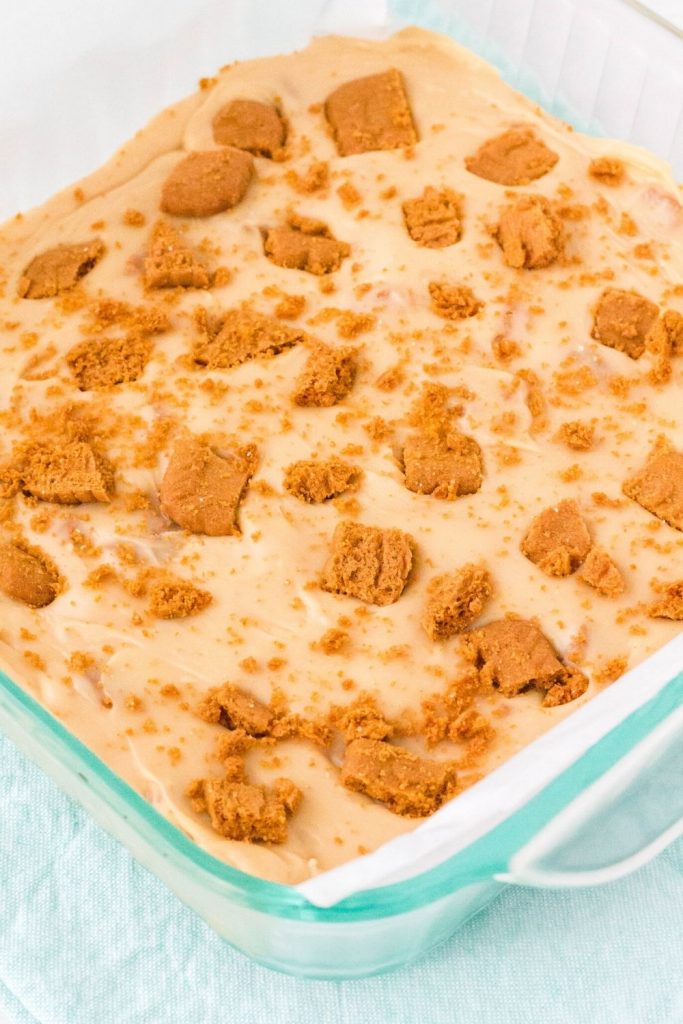 Easy Biscoff Fudge Recipe: Just 4 Ingredients! - Family Favorite ...
